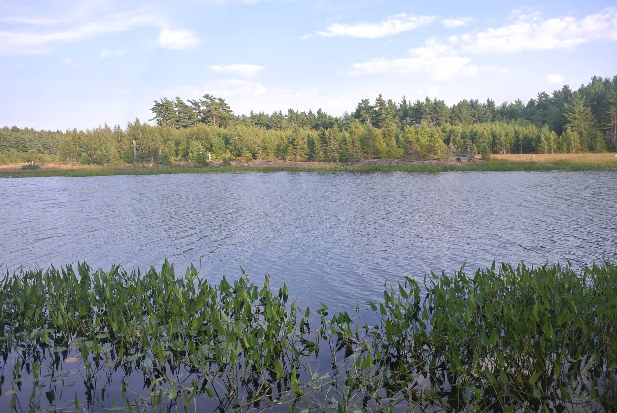 4 STUNNING NATIONAL PARKS IN THE CANADIAN MARITIMES | We Are Travel Girls