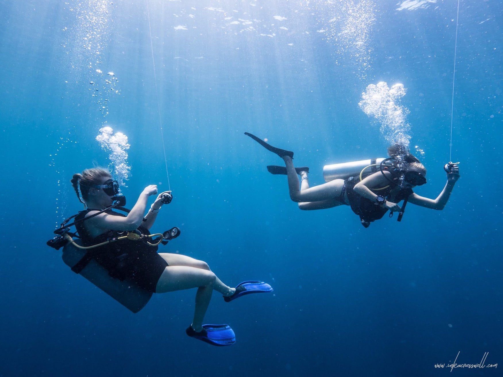 10 REASONS COMPLETING YOUR DIVE MASTER SHOULD BE YOUR NEXT BIG ...