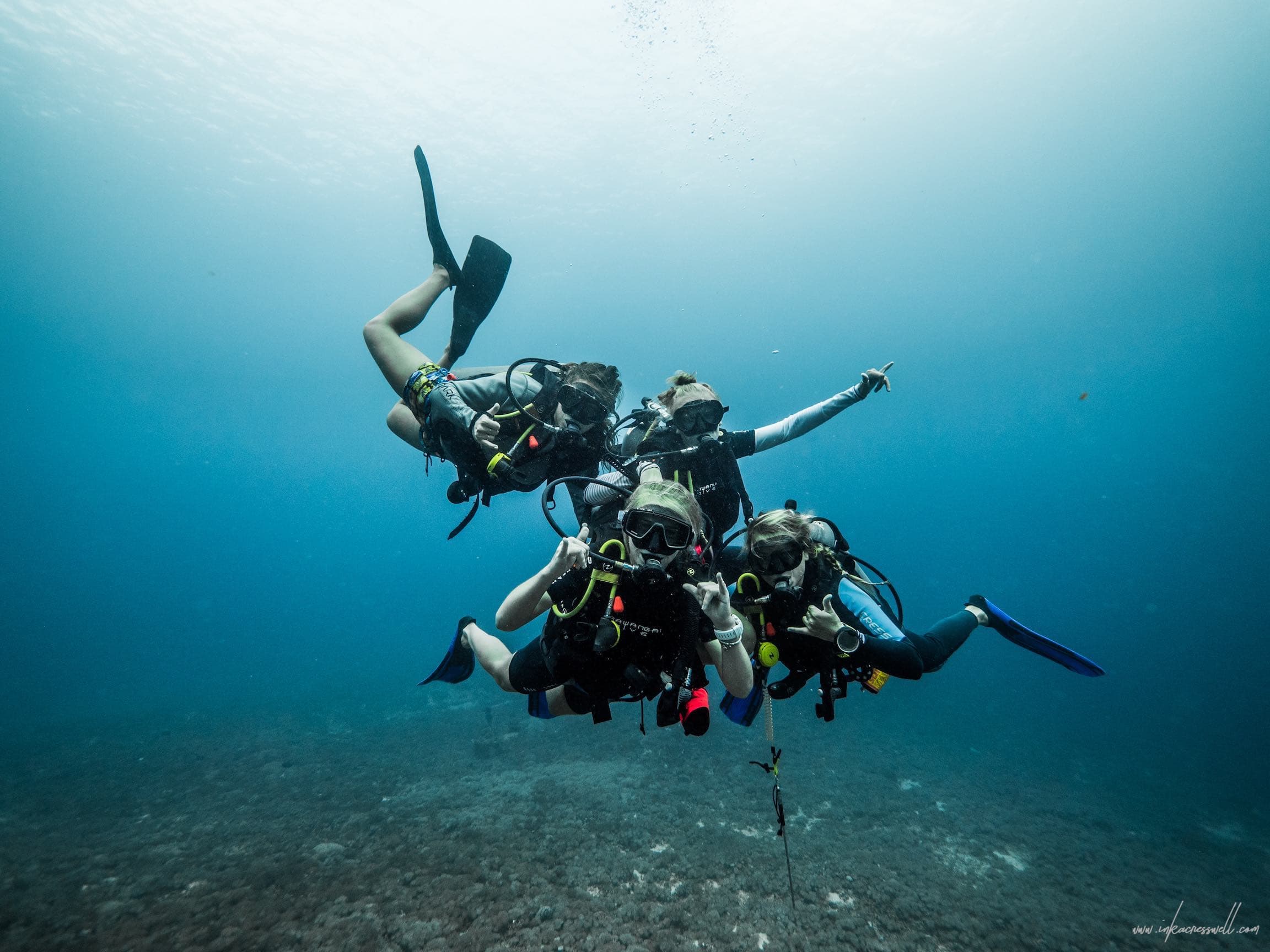 10 REASONS COMPLETING YOUR DIVE MASTER SHOULD BE YOUR NEXT BIG ...
