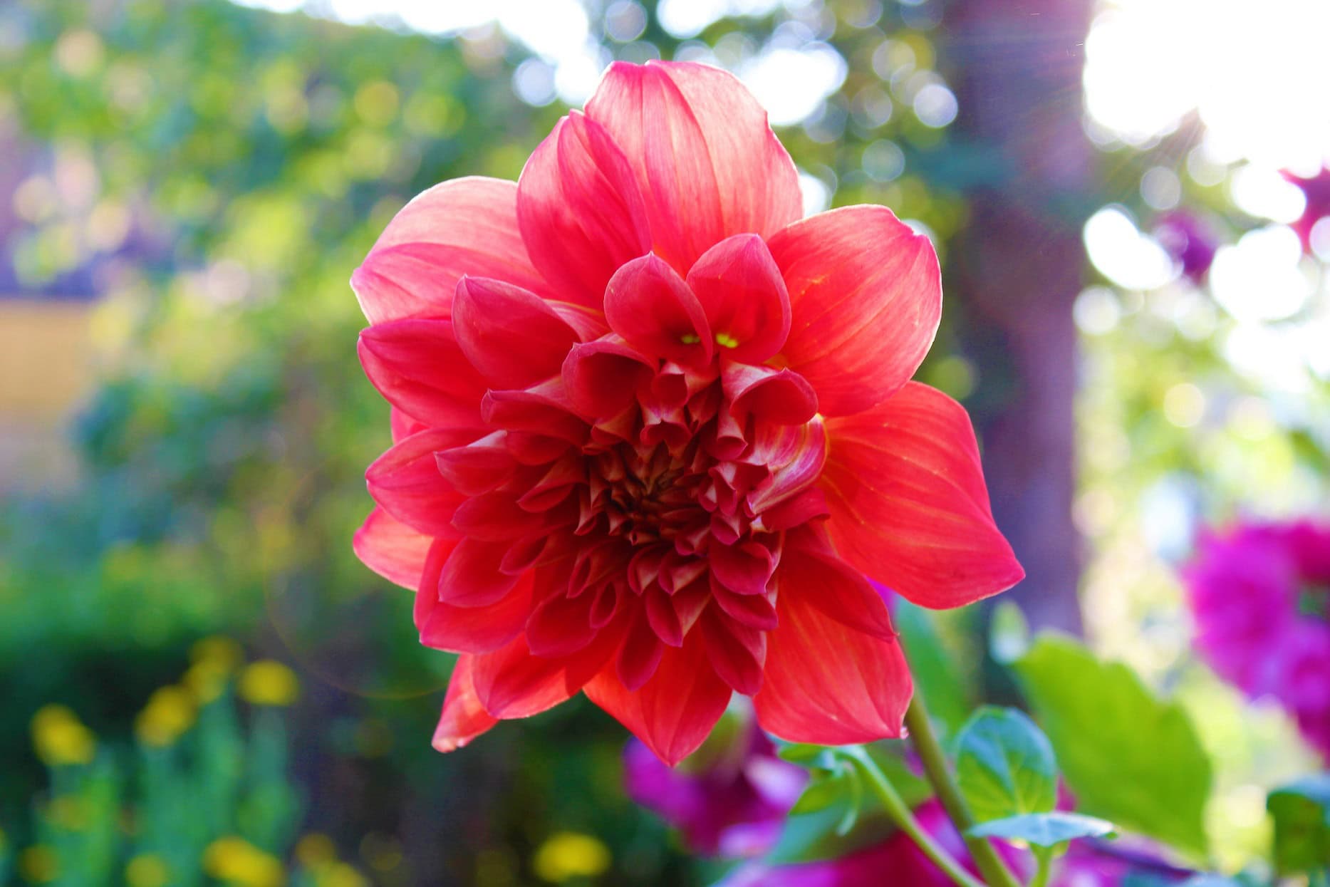 Lost In God's Own Country - Kerala | We Are Travel Girls