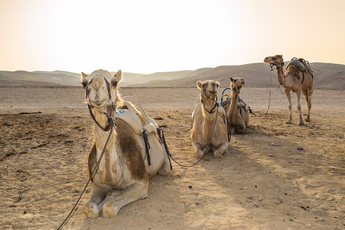 A Quick Guide To Israel | We Are Travel Girls