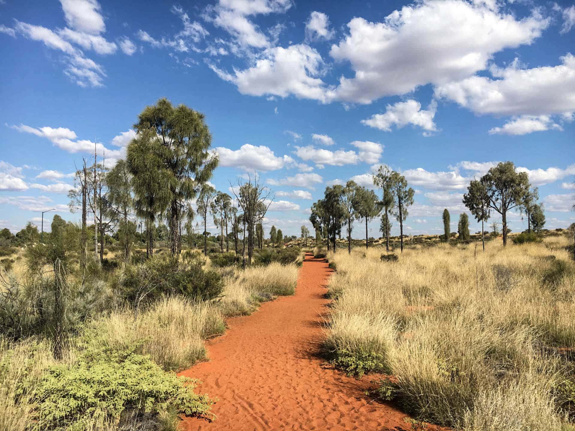 5 REASONS TO VISIT ULURU – THE HEART OF AUSTRALIA | We Are Travel Girls