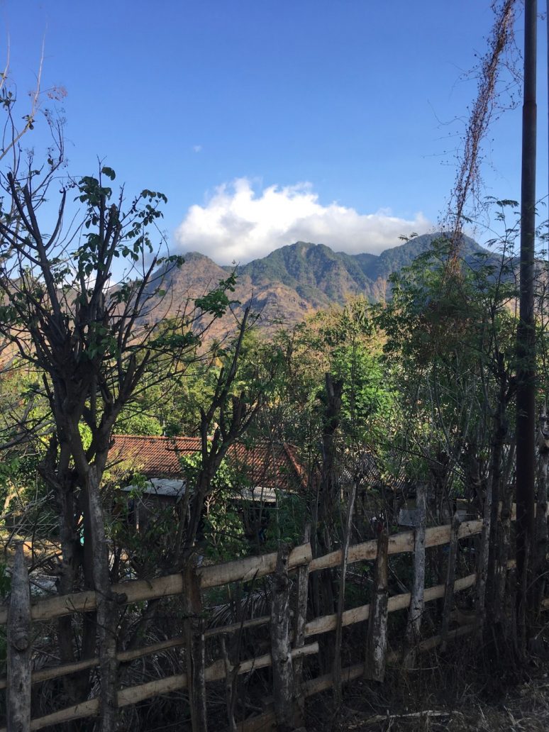 Pemuteran, Bali Guide: The Best Things To Do | We Are Travel Girls