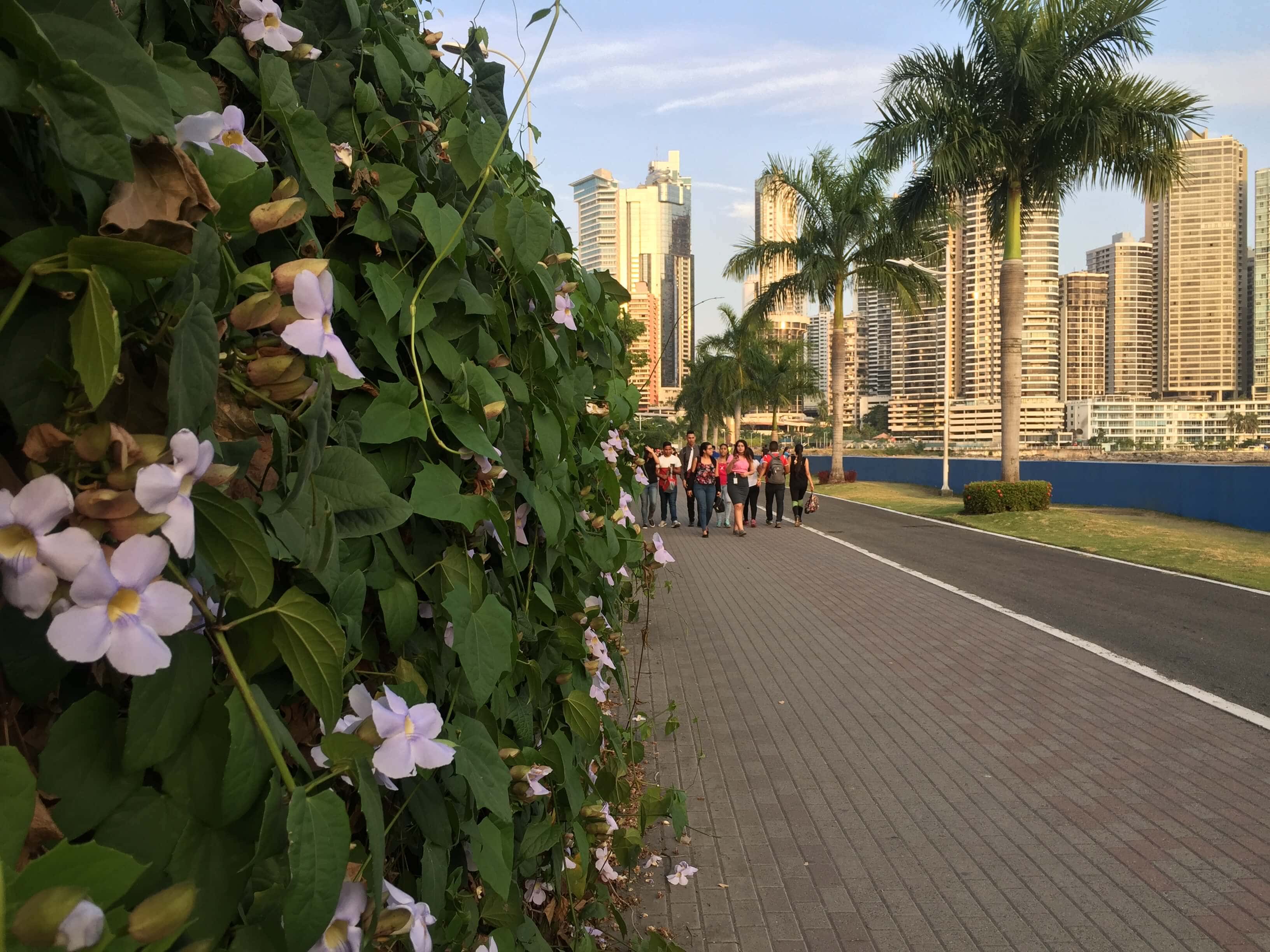 Panama: A Complete Insider's Guide By An Expat | We Are Travel Girls