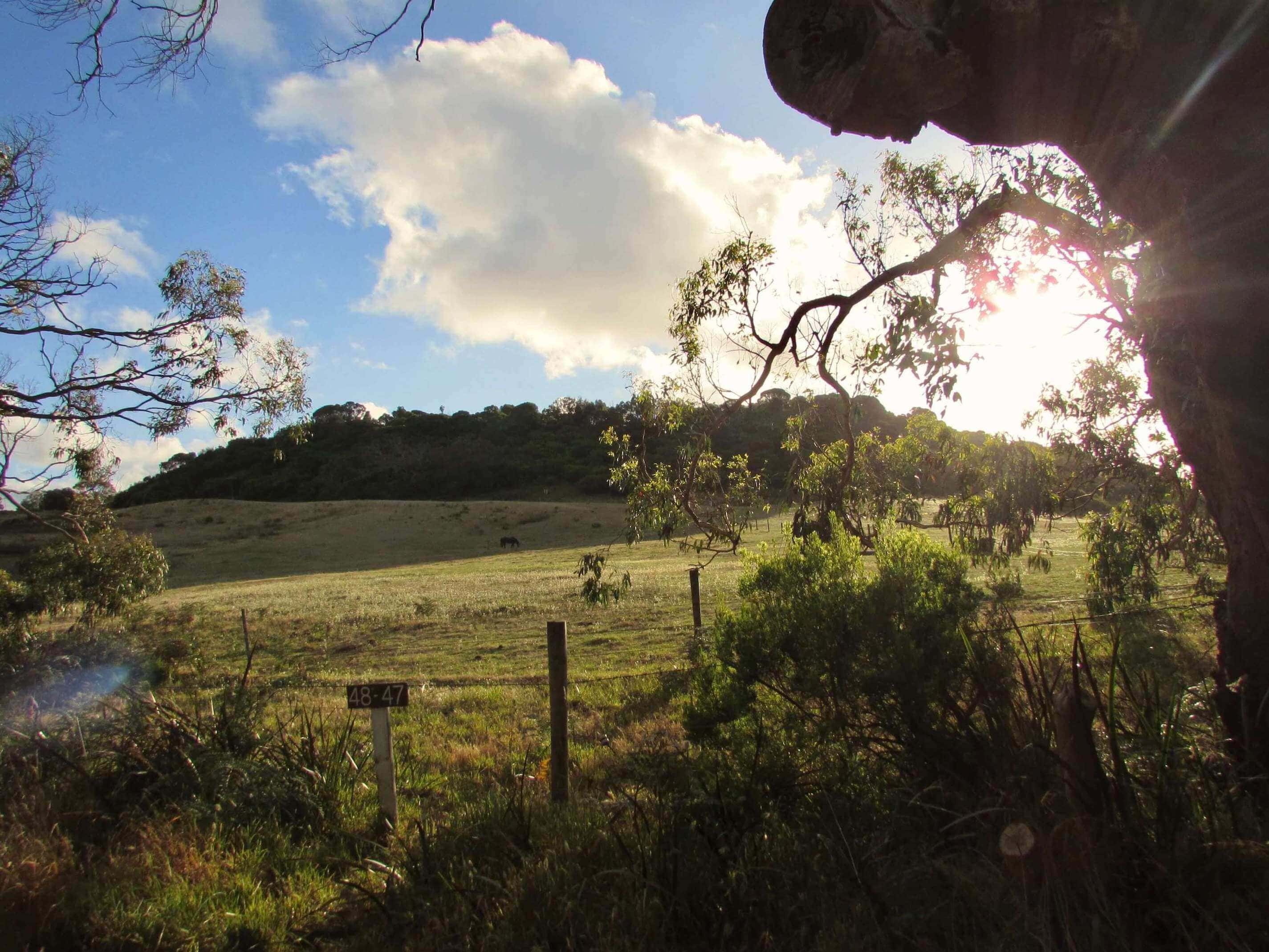 Australia's Great Ocean Road: The Ultimate Guide | We Are Travel Girls