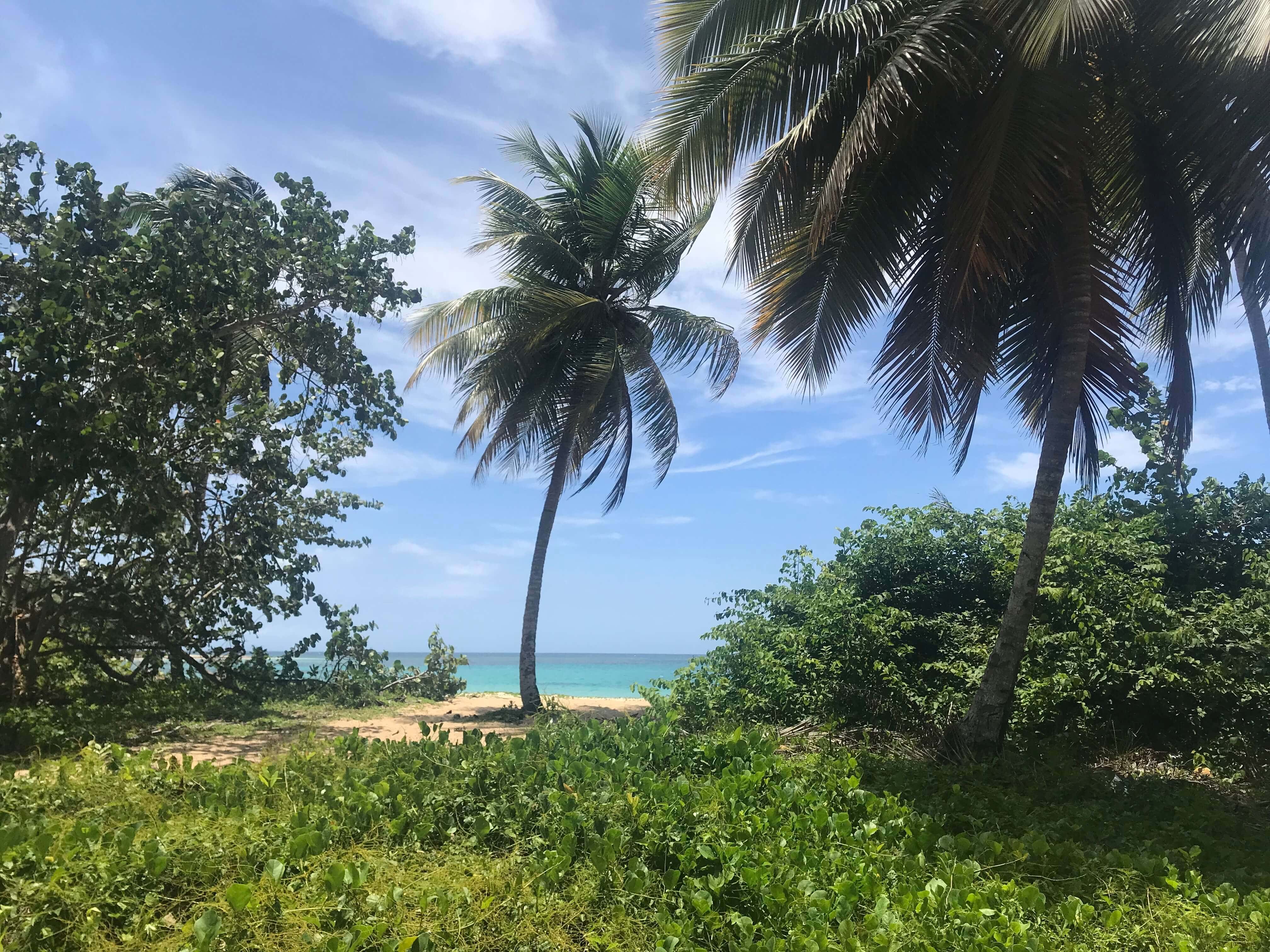 5 Things To Do In Las Terrenas, Dominican Republic | We Are Travel Girls