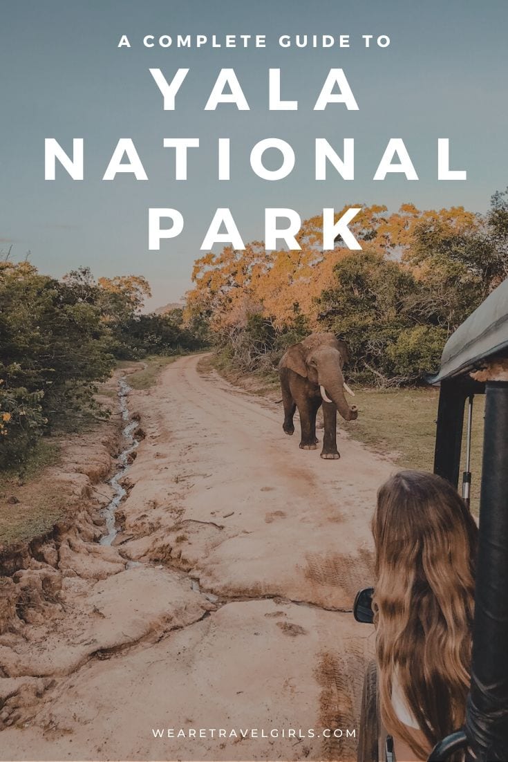 Yala National Park: Complete Guide to Visiting | We Are Travel Girls