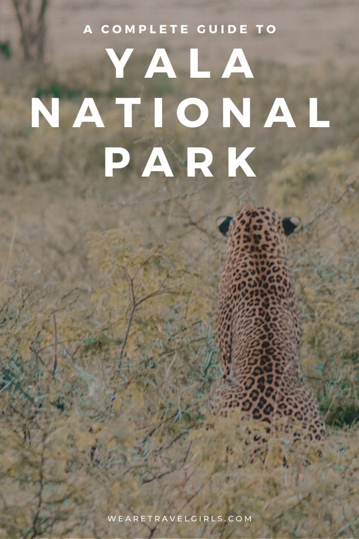 Yala National Park: Complete Guide to Visiting | We Are Travel Girls