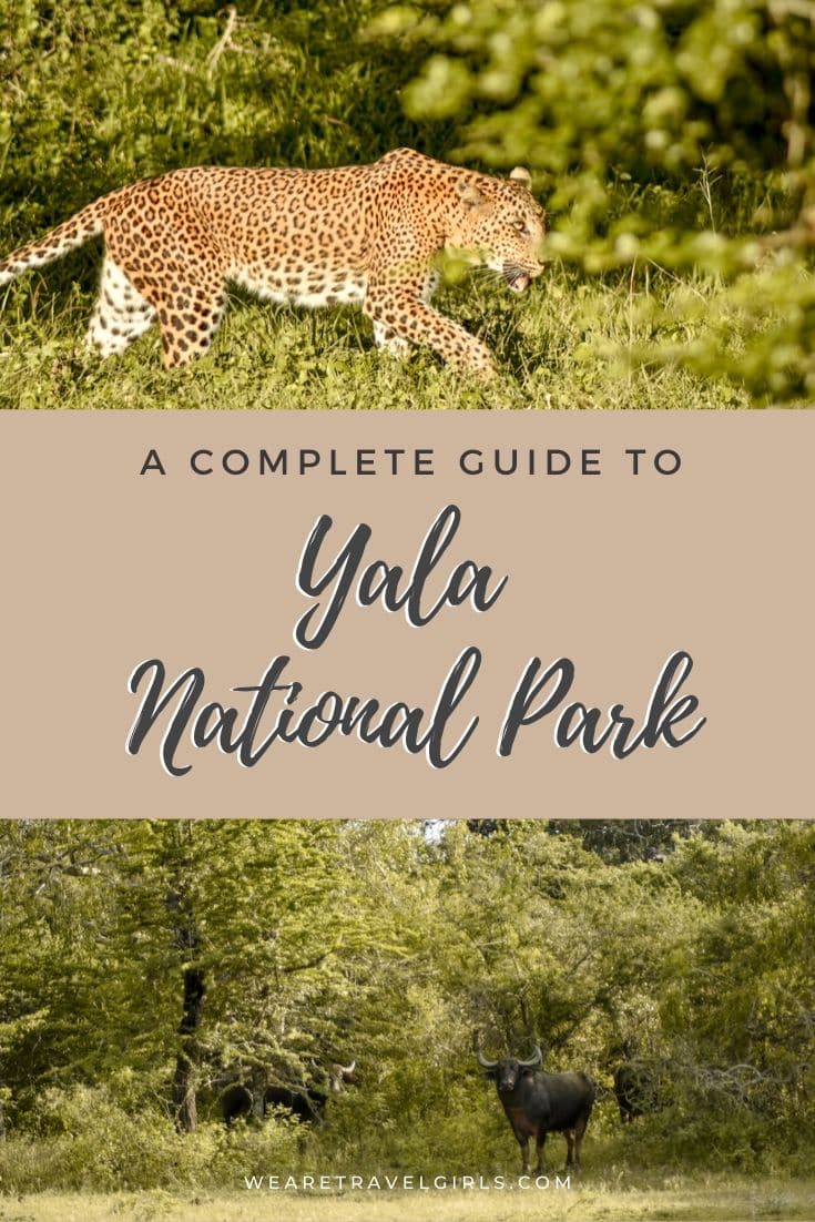 Yala National Park: Complete Guide to Visiting | We Are Travel Girls