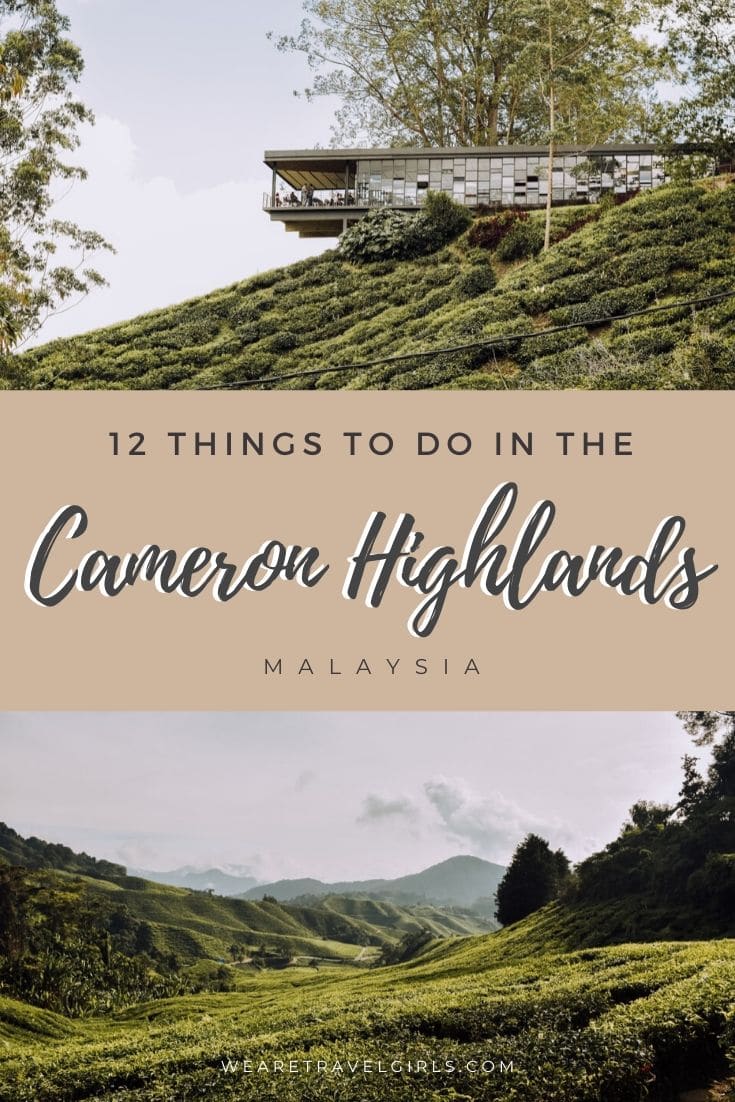 The 12 Best Things To Do In The Cameron Highlands | We Are Travel Girls