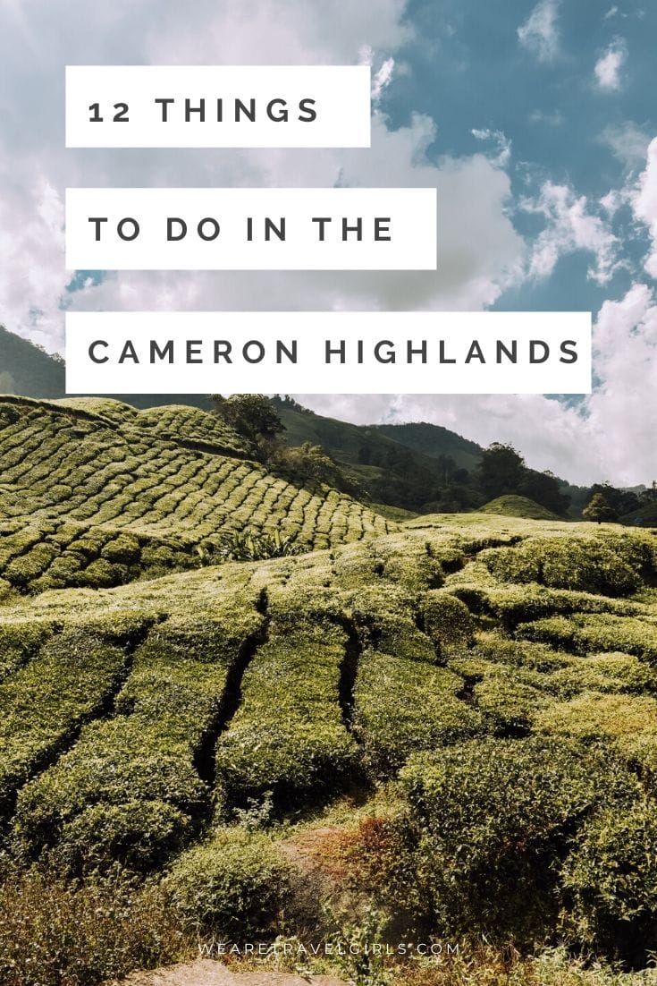 The 12 Best Things To Do In The Cameron Highlands | We Are Travel Girls
