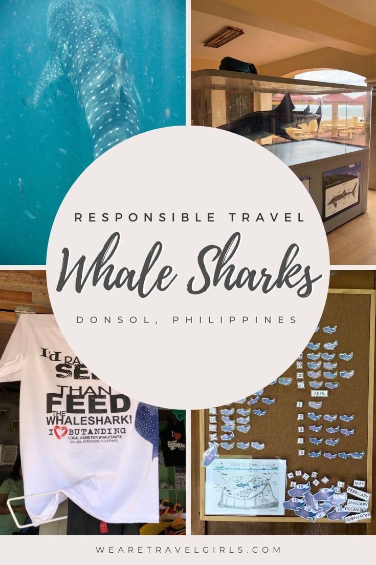 Donsol, Philippines: The Responsible Place To See Whale Sharks | We Are ...